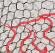 Bloodscale Tribe | Nerdiverse Wiki | Fandom