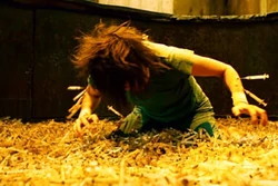 Needle Pit | Nerdy Nelson Wiki | Fandom