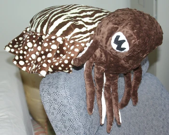 Cuttlefish Plushie Sewing Pattern (Tigerita) | Craft Resource Wiki | Fandom