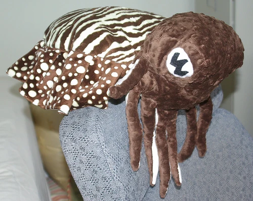 Cuttlefish Plushie Sewing Pattern (Tigerita) | Craft Resource Wiki | Fandom