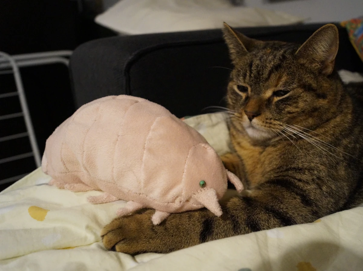 Isopod Plushie Sewing Patterns | Craft Resource Wiki | Fandom