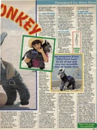 Donkey Plushie Sewing Pattern (Alan Dart) | Craft Resource Wiki | Fandom