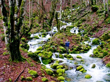 Neretva Wiki | Fandom