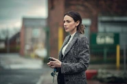 Fool Me Once | Netflix Wiki | Fandom