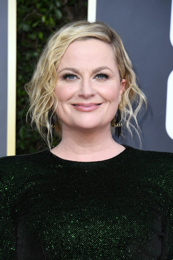 Amy Poehler | Netflix Wiki | Fandom