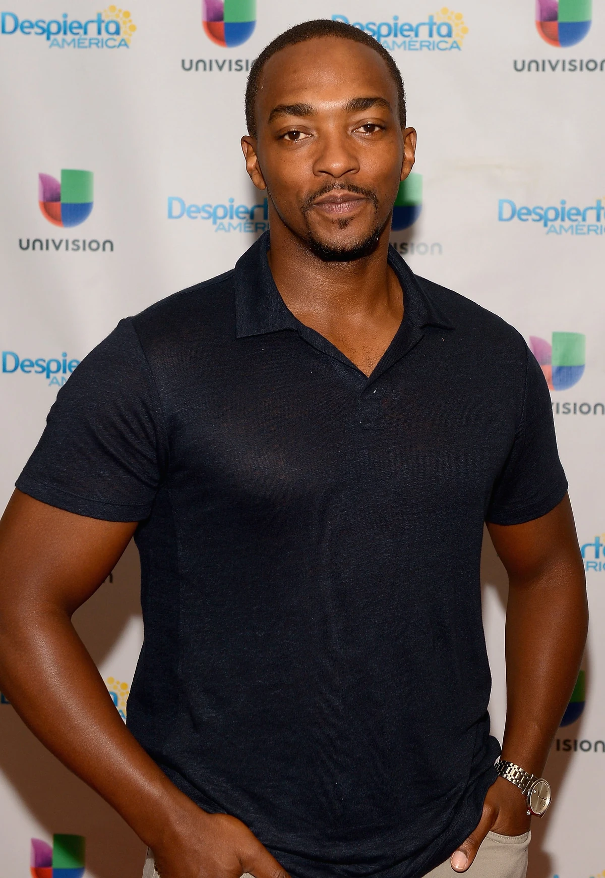 Anthony Mackie | Netflix Wiki | Fandom