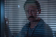 The Chestnut Man | Netflix Wiki | Fandom