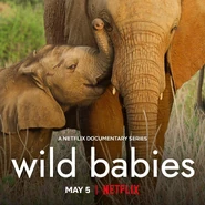 Wild Babies | Netflix Wiki | Fandom