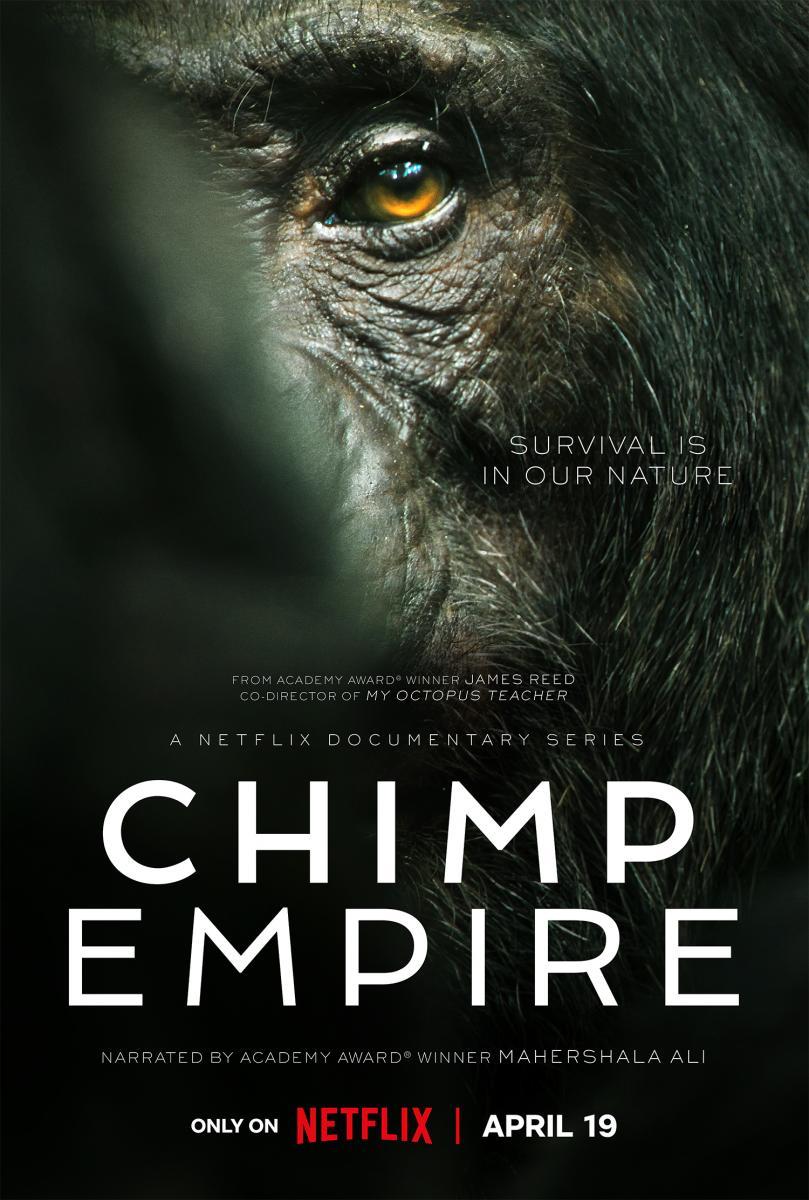 Chimp Empire Netflix Wiki Fandom