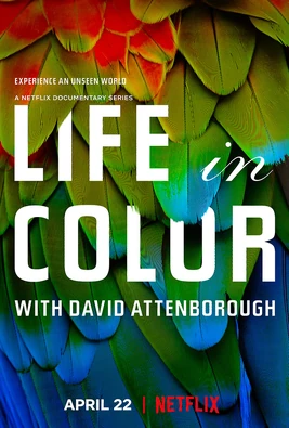 Life in Color with David Attenborough | Netflix Wiki | Fandom
