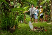 Finding ‘Ohana | Netflix Wiki | Fandom