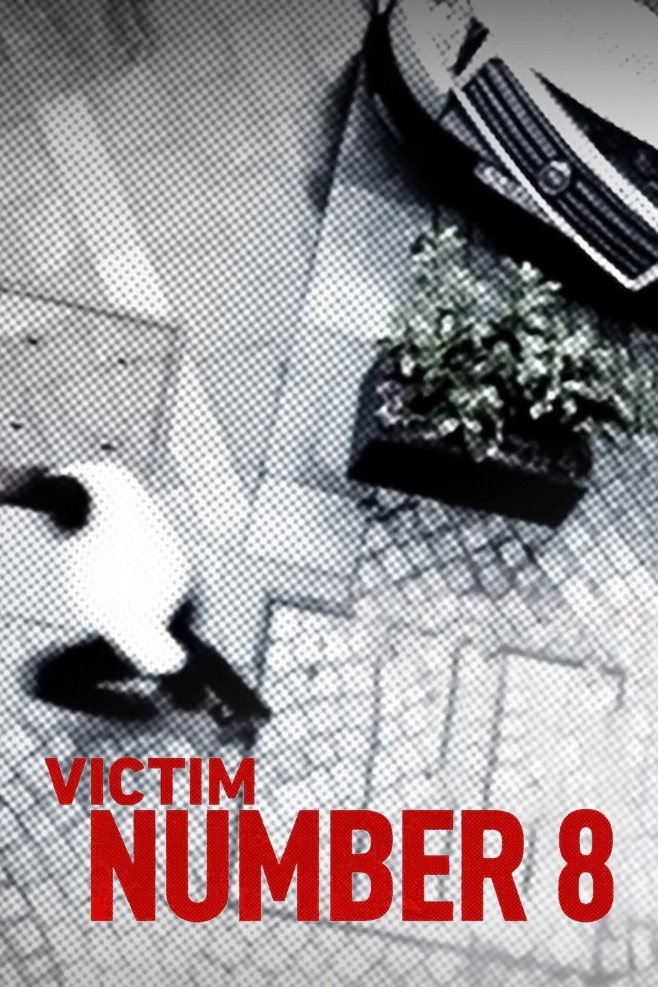 Victim Number 8 | Netflix Wiki | Fandom
