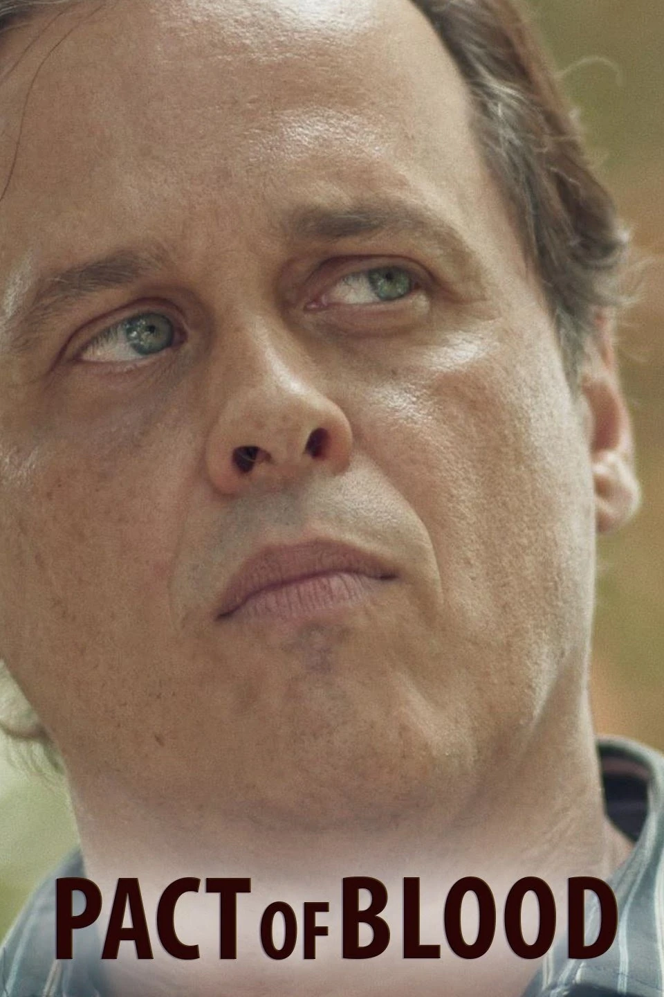 Blood Pact | Netflix Wiki | Fandom