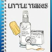 Little Things | Netflix Wiki | Fandom