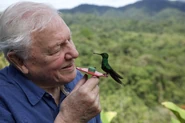 Life in Color with David Attenborough | Netflix Wiki | Fandom