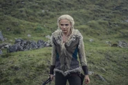 The Witcher | Netflix Wiki | Fandom