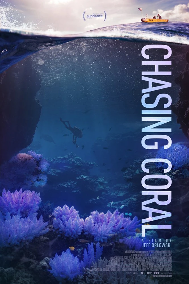 Chasing Coral | Netflix Wiki | Fandom