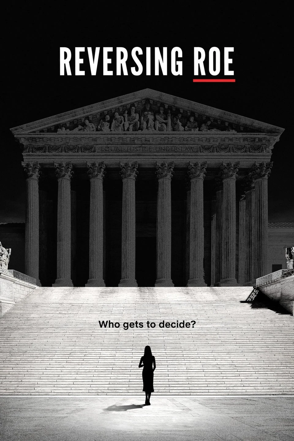 Reversing Roe | Netflix Wiki | Fandom