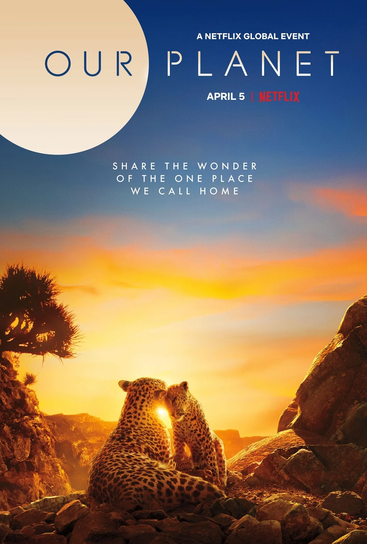 Our Planet | Netflix Wiki | Fandom