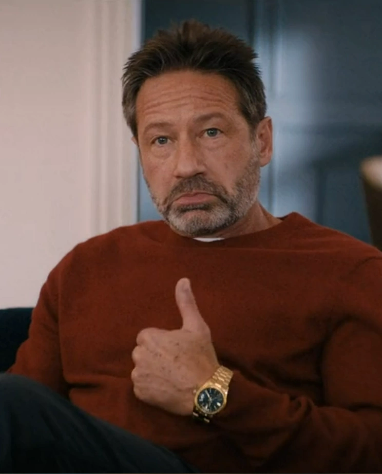 Arnold Cohen | Netflix Wiki | Fandom