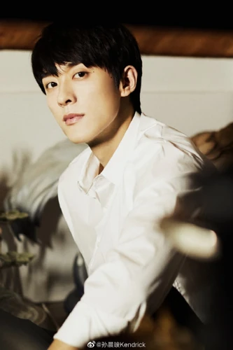 Sun Chenjun | Netflix Wiki | Fandom