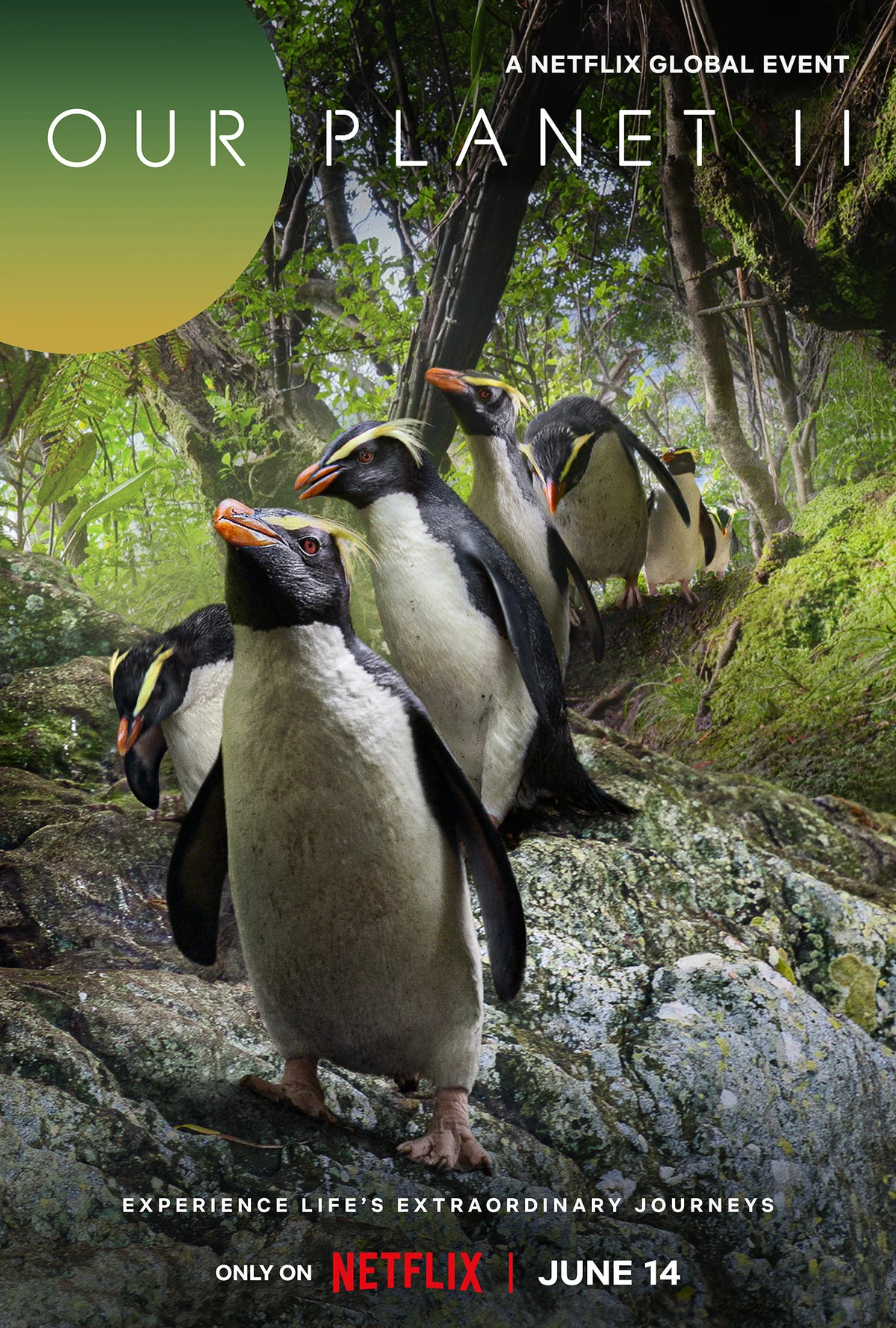 Our Planet | Netflix Wiki | Fandom