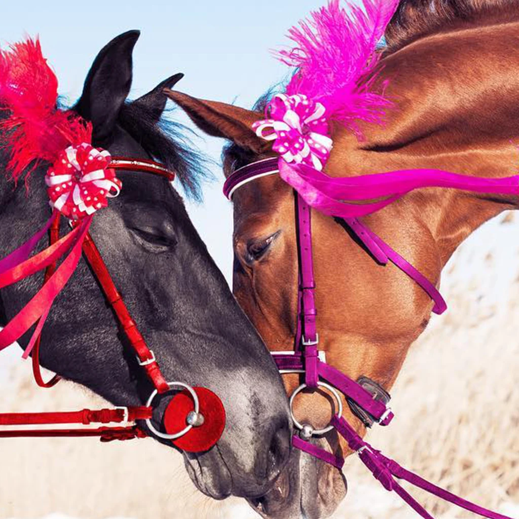 Free Rein: Valentine's Day | Netflix Wiki | Fandom