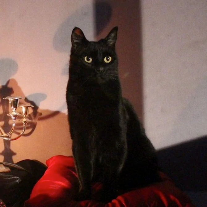 Salem | Netflix Wiki | Fandom