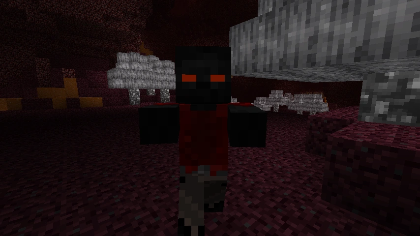 Dark Zombie | NetherCraft Wiki | Fandom