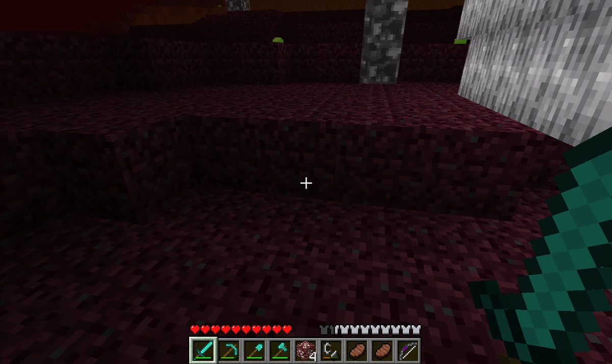 Netherdirt | NetherCraft Wiki | Fandom
