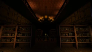 Shadow Absalom Library | Neumont Pathfinder Campaign Wiki | Fandom