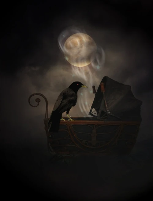 Crow Witch | Neumont Pathfinder Campaign Wiki | Fandom