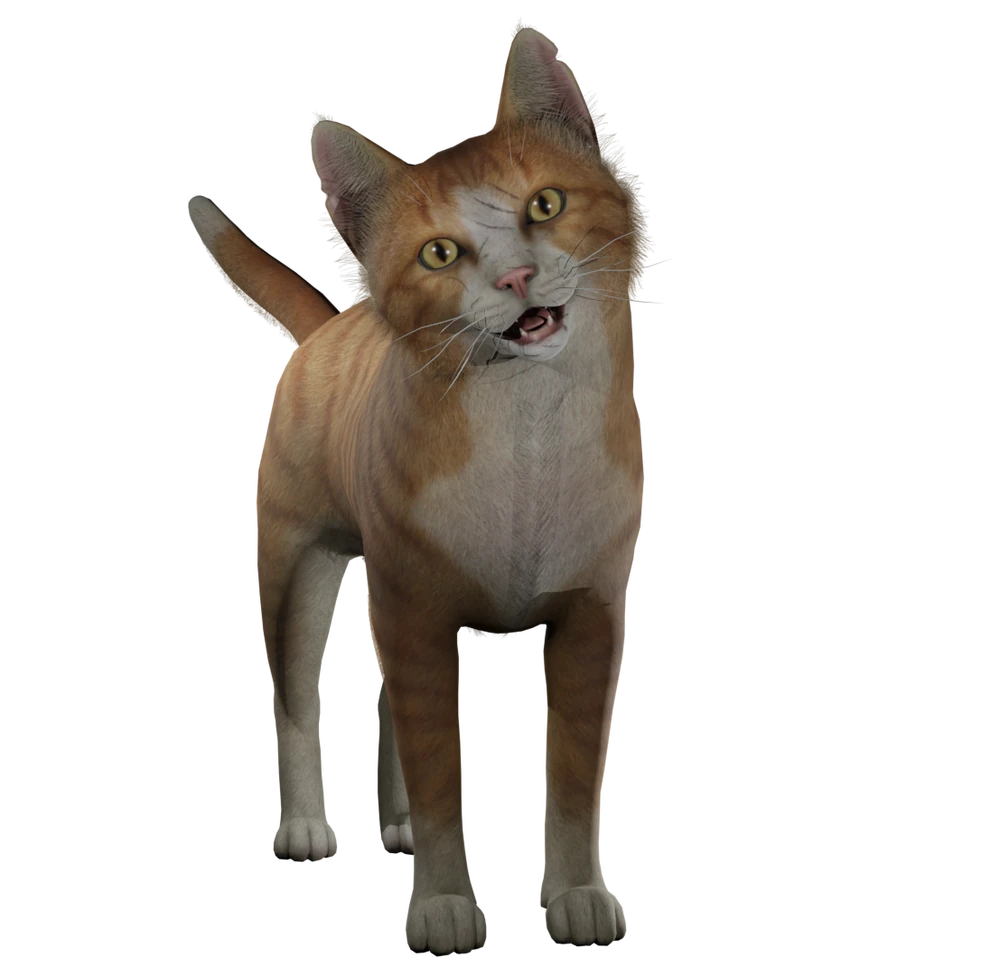 Cat (Indigo Park) | Neutral Characters Wiki | Fandom