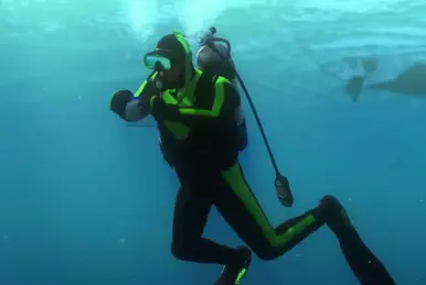 finding nemo goggles name