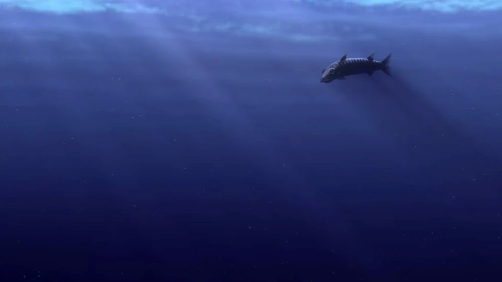 Barracuda | Neutral Characters Wiki | Fandom