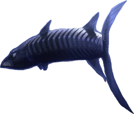 Barracuda | Neutral Characters Wiki | Fandom