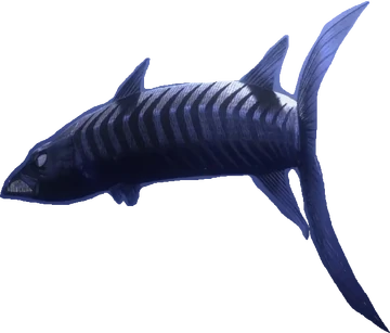 Barracuda Fisk Som Finner Nemo