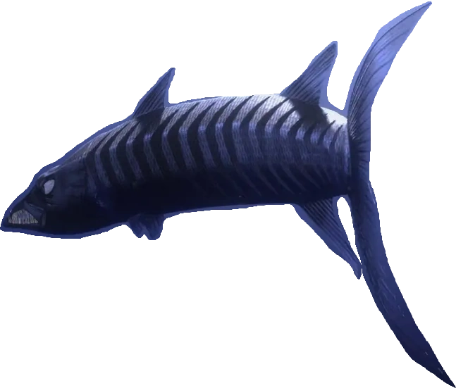 Barracuda | Neutral Characters Wiki | Fandom