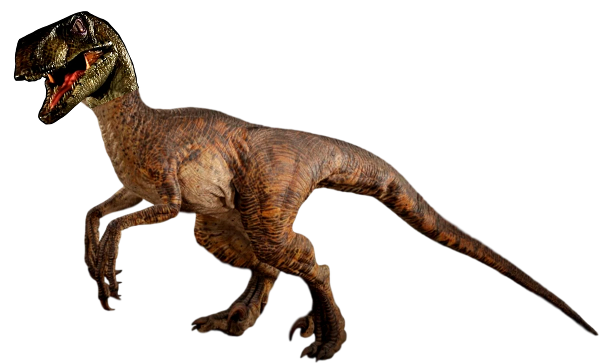 Kim (Jurassic Park) | Neutral Characters Wiki | Fandom