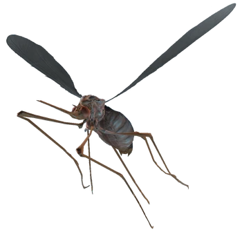 Bloodbugs | Neutral Characters Wiki | Fandom