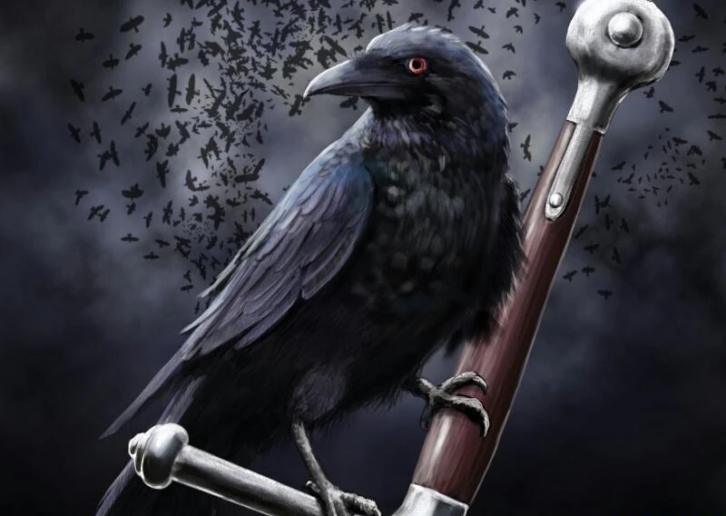 Shadow of the Raven | Nevaraine Wikia | Fandom