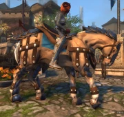 Mounts | Neverwinter Wiki | Fandom