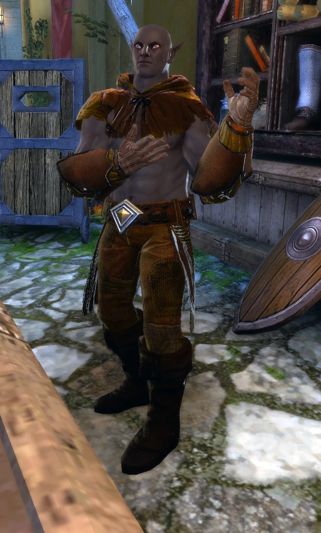 Armor Trader | Neverwinter Wiki | Fandom