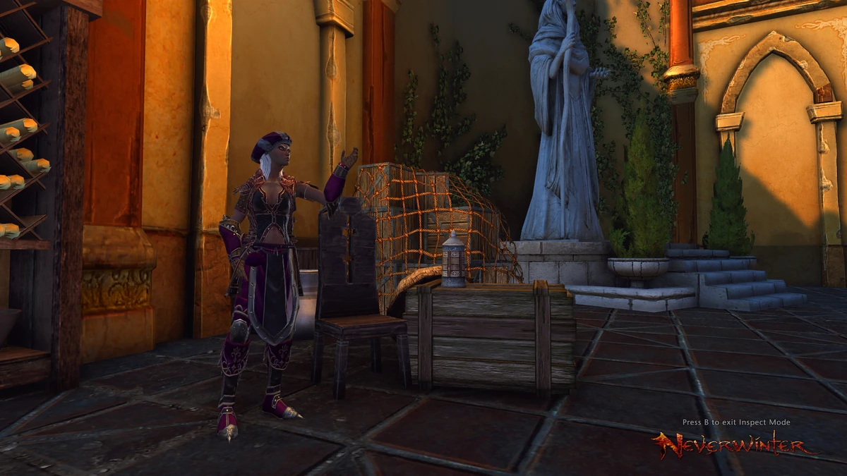 A True Professional | Neverwinter Wiki | Fandom