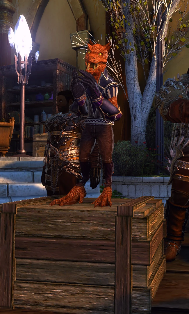 Rhix | Neverwinter Wiki | Fandom