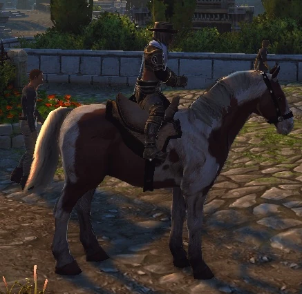 Waterdeep Horse | Neverwinter Wiki | Fandom