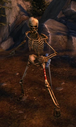 Decrepit Skeleton | Neverwinter Wiki | Fandom