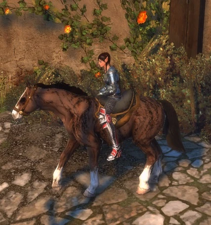 Sabino Horse | Neverwinter Wiki | Fandom