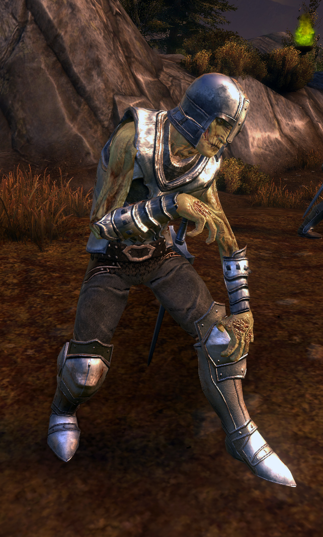 Undead Soldier | Neverwinter Wiki | Fandom