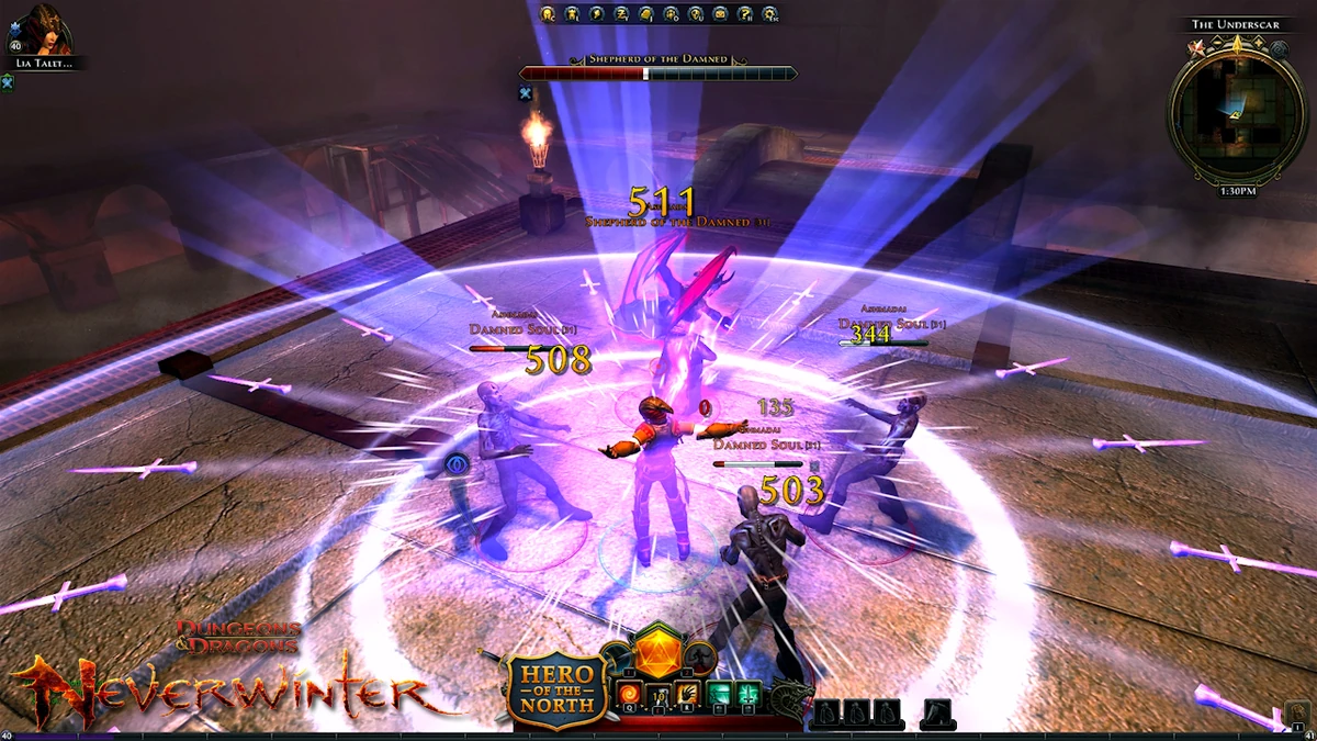 Trickster Rogue | Neverwinter Wiki | Fandom